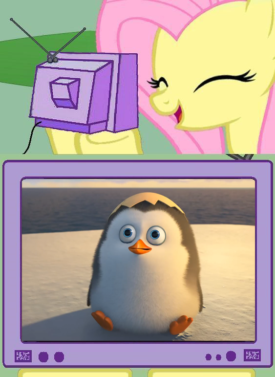 #697515 - safe, fluttershy, bird, pegasus, penguin, pony, baby, cute ...