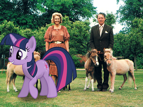 #709822 - safe, twilight sparkle, human, g4, height, irl, irl human ...