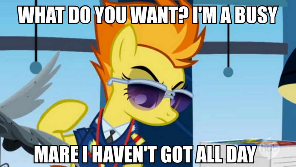 #808320 - safe, spitfire, image macro, meme - Derpibooru