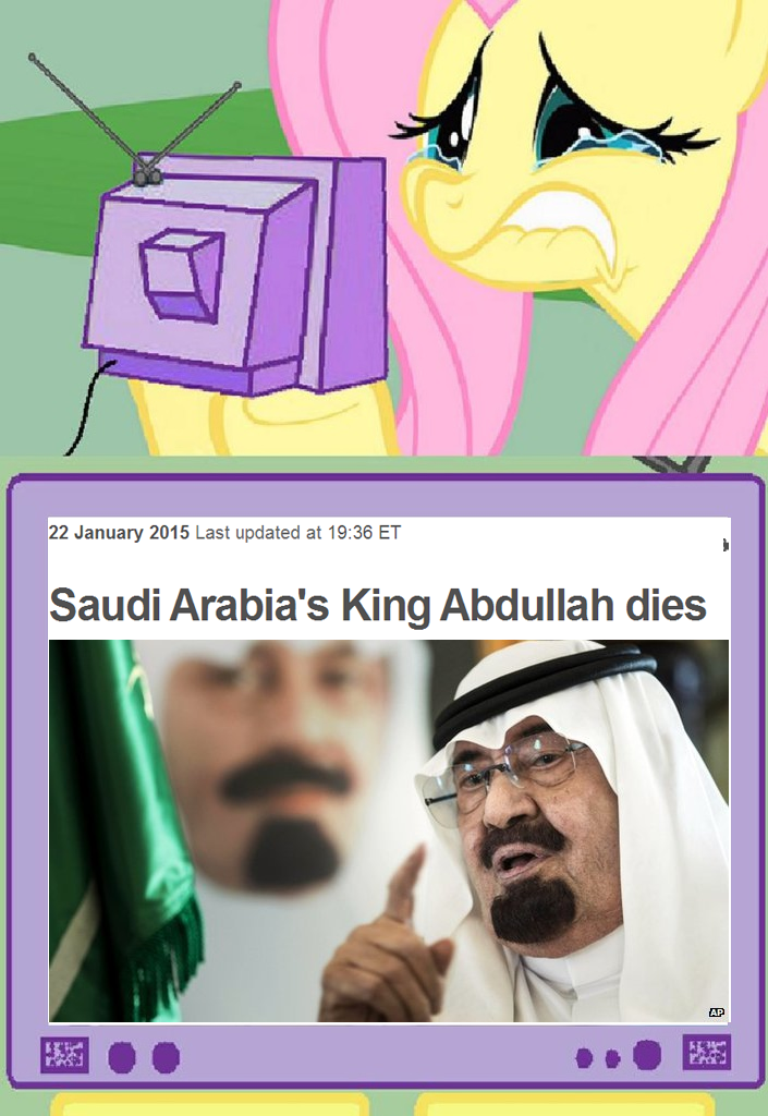 #812536 - safe, fluttershy, exploitable meme, fluttercry, implied death ...