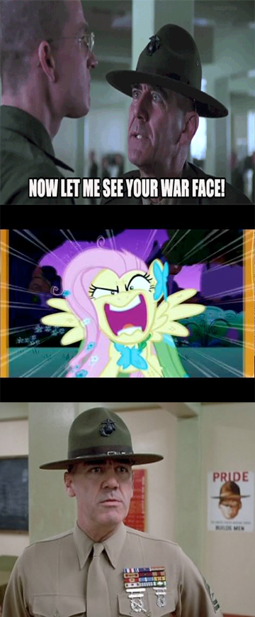 #1053203 - safe, fluttershy, flutterrage, full metal jacket, gunnery ...