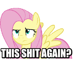 #833170 - safe, doomie, fluttershy, pegasus, pony, animated, annoyed ...