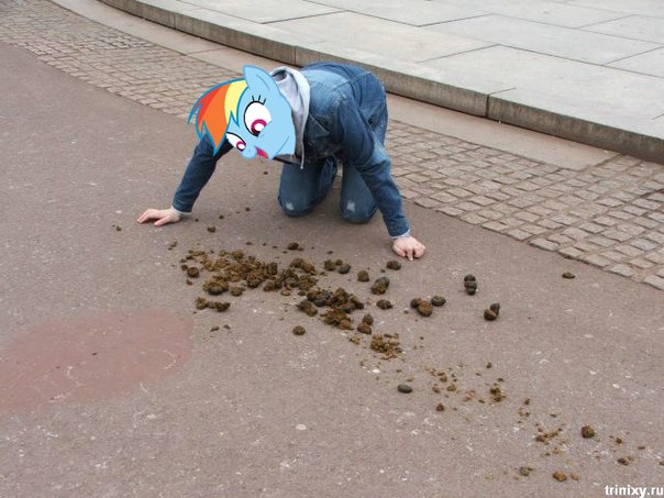#823106 - grotesque, edit, rainbow dash, g4, irl, photo, poop, scat ...