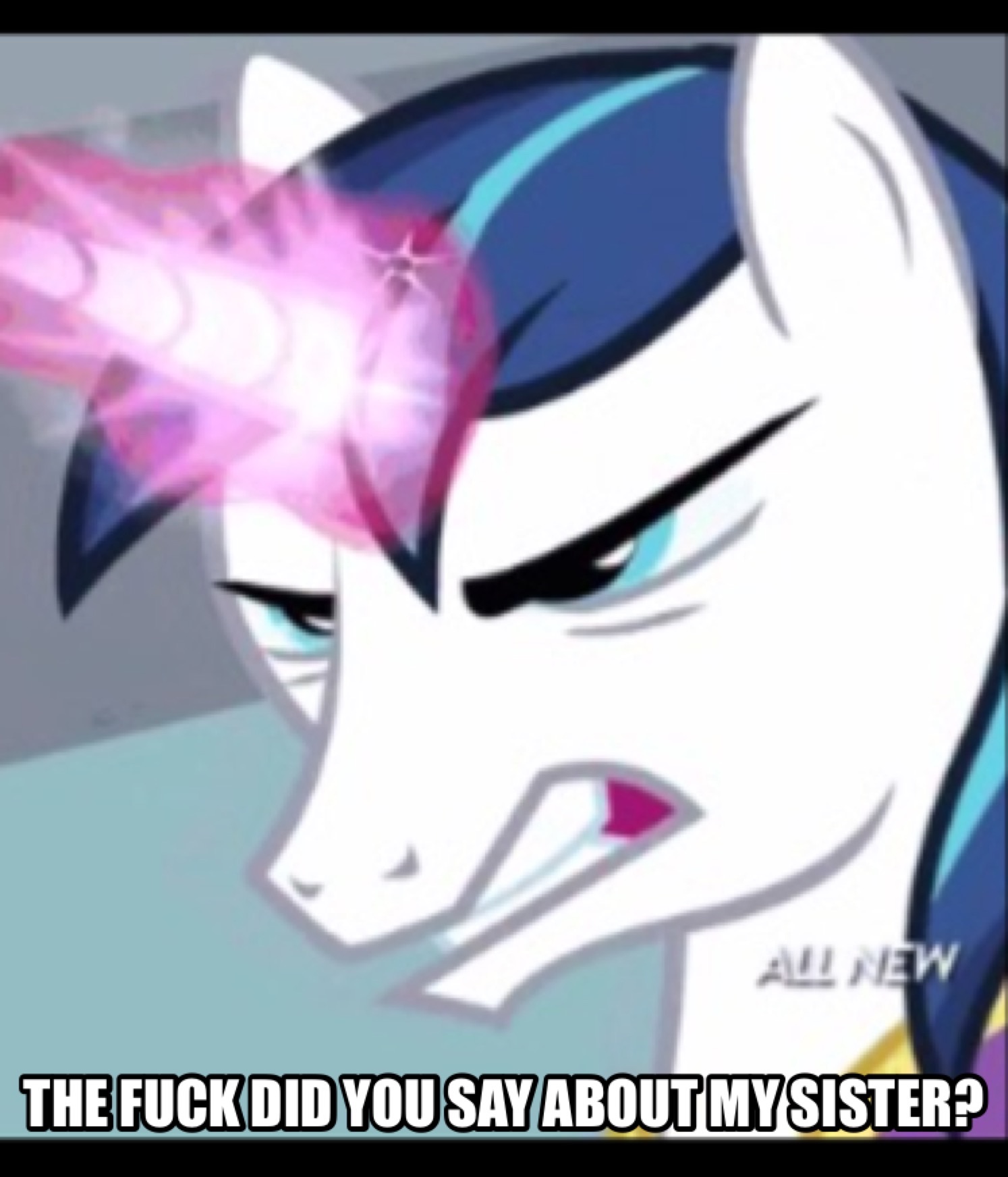 #874561 - safe, shining armor, angry, magic, meme, vulgar - Derpibooru