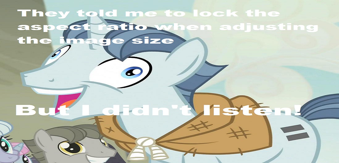 #874671 - safe, party favor, aspect ratio, exploitable meme, i didn't ...