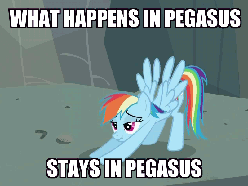 #1266175 - suggestive, rainbow dash, caption, exploitable meme, female ...