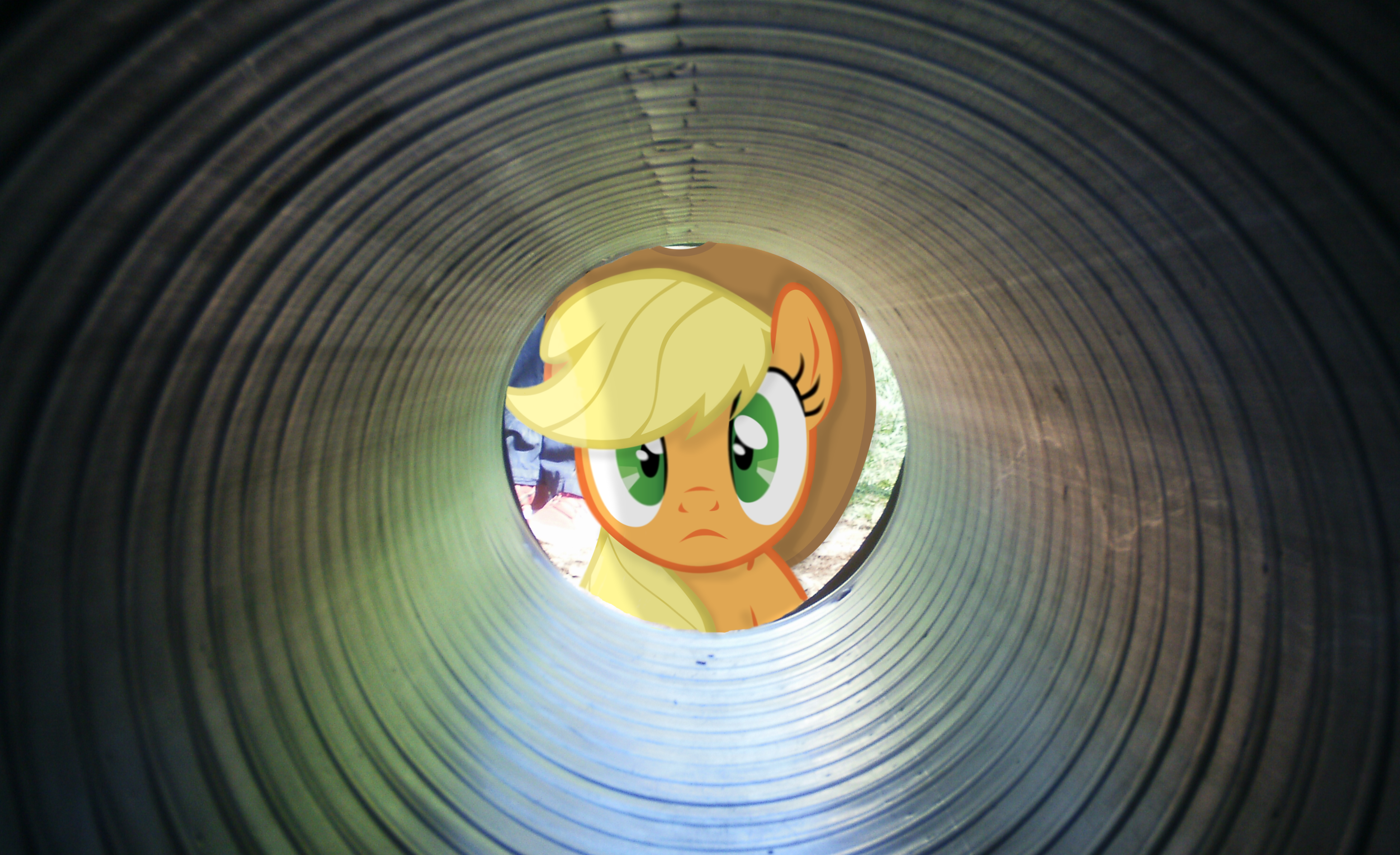 #1217517 - safe, artist:riniginianna, applejack, irl, looking at you ...