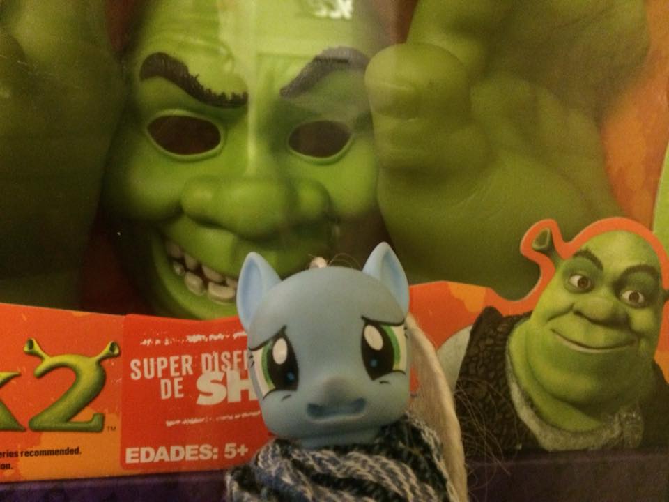 #1253771 - safe, ogre, pony, derpibooru, concerned, concerned pony, irl ...