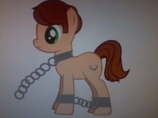 #1607332 - safe, artist:kirbyfalcon, oc, oc only, oc:shackles, pony ...