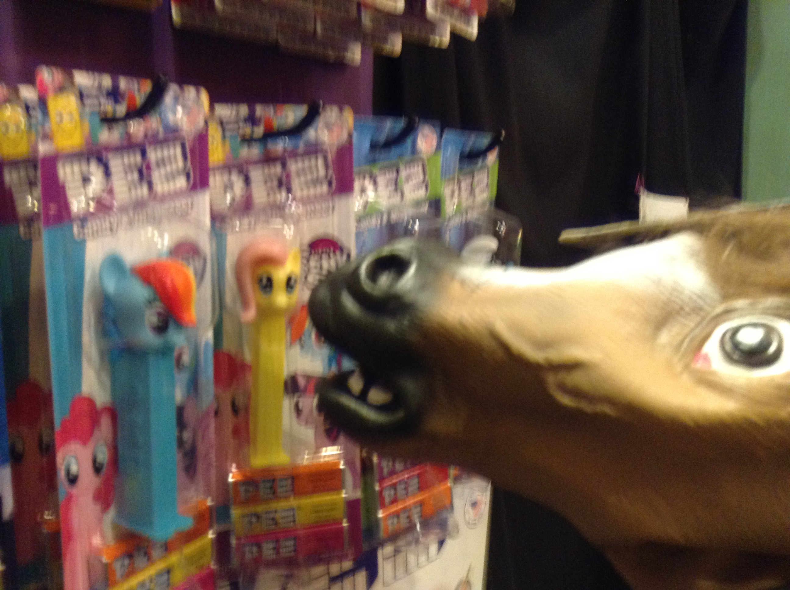 #1613656 - safe, fluttershy, rainbow dash, horse, g4, candy store, hoers mask, implied kissing ...