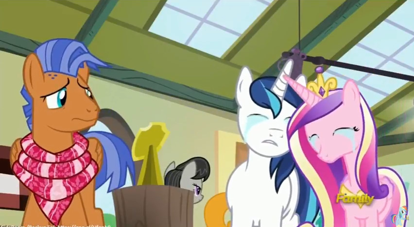 #1418640 - safe, screencap, octavia melody, princess cadance, rainbow ...