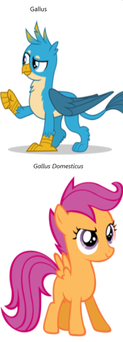 #1707791 - safe, edit, vector edit, gallus, scootaloo, griffon, g4 ...