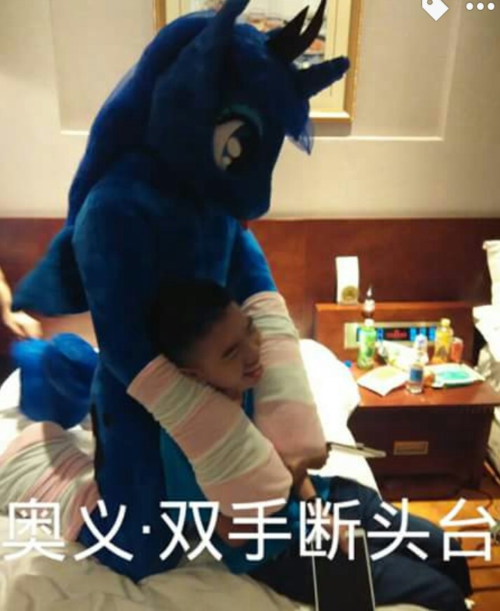 #1713670 - safe, princess luna, human, g4, chinese, fursuit, irl, irl ...