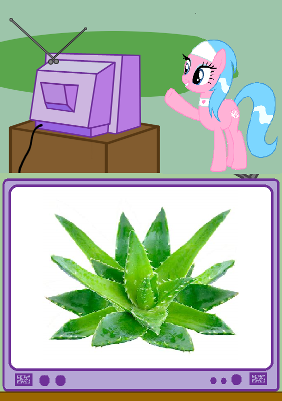 #1786759 - safe, aloe, g4, aloe plant, aloe vera, exploitable meme ...