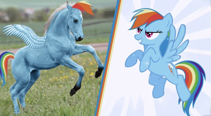 #2014194 - artist needed, safe, rainbow dash, pony, comparison, irl ...