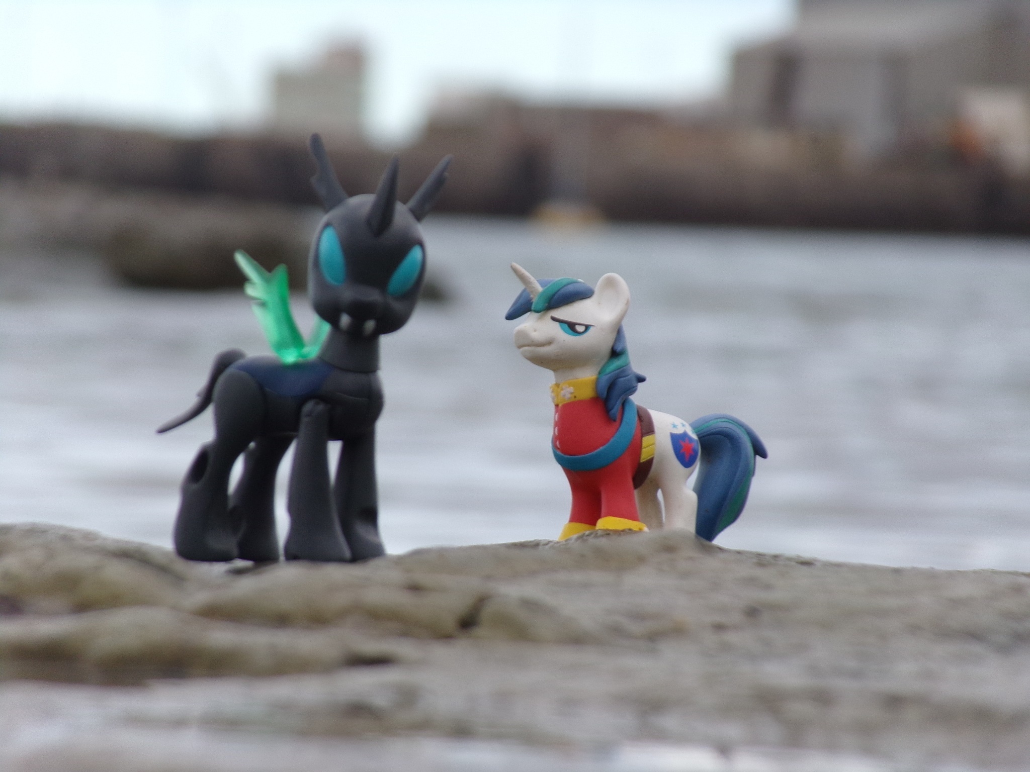 #2461374 - safe, artist:dingopatagonico, shining armor, changeling ...