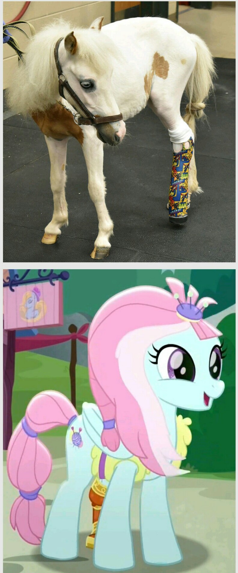 #2594732 - safe, kerfuffle, horse, pony, rainbow roadtrip, amputee ...