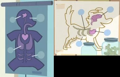 #3016404 - safe, screencap, dog, pony, secret of my excess, anatomy ...