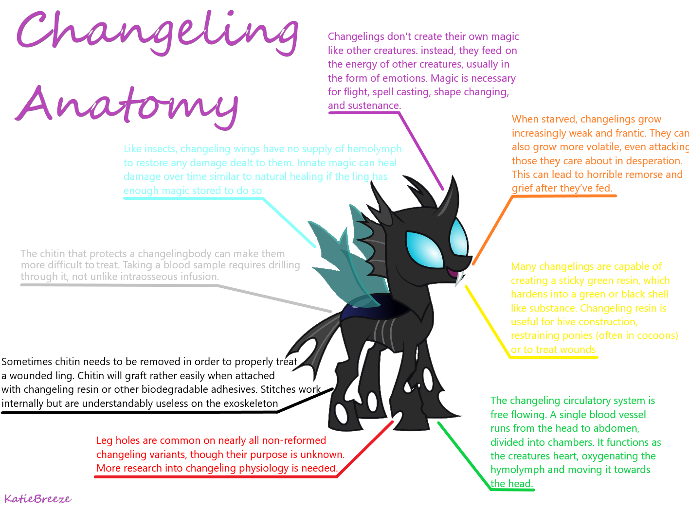 #2957286 - safe, changeling, anatomy, chart, diagram, information ...