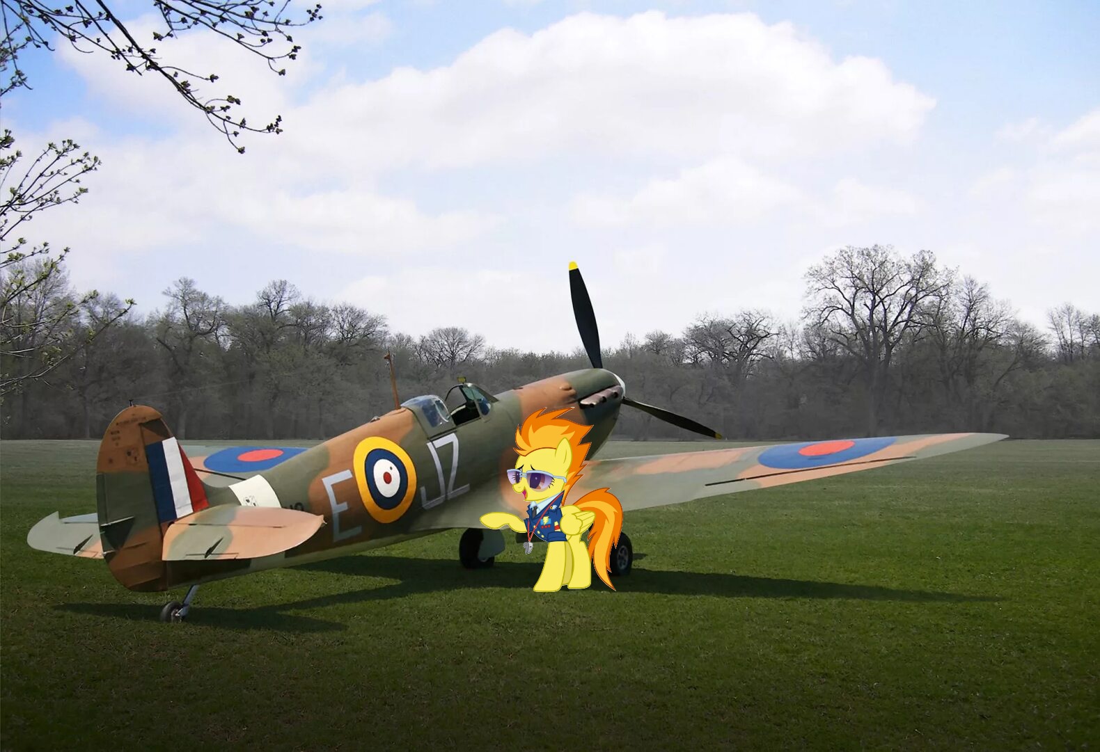#3029390 - safe, spitfire, pegasus, pony, g4, clothes, drill sergeant ...