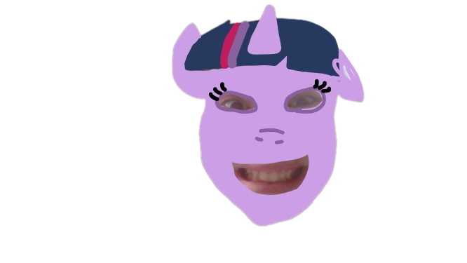 #3073970 - safe, twilight sparkle, human, unicorn, g4, 1000 hours in ms ...