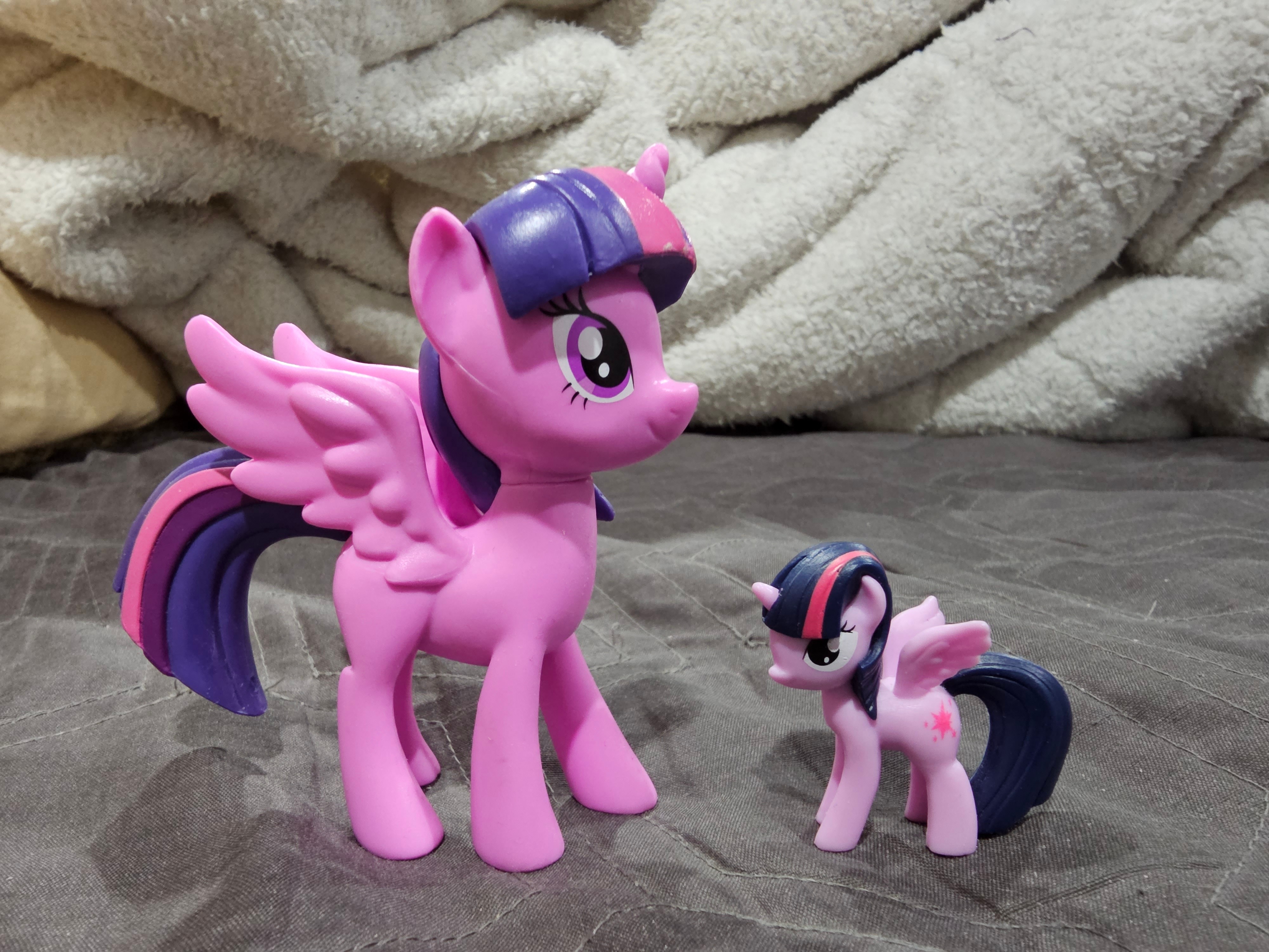 #3059170 - safe, photographer:professorventurer, twilight sparkle ...