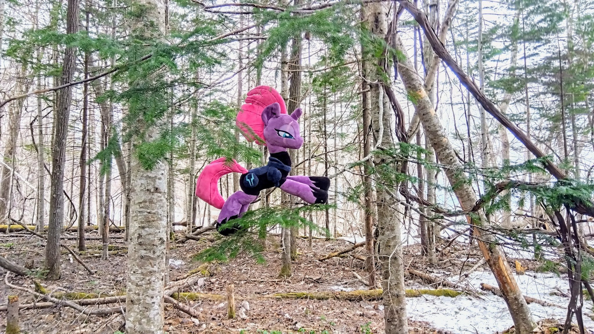 #3102863 - safe, photographer:pakapaka1993, tempest shadow, pony, irl ...