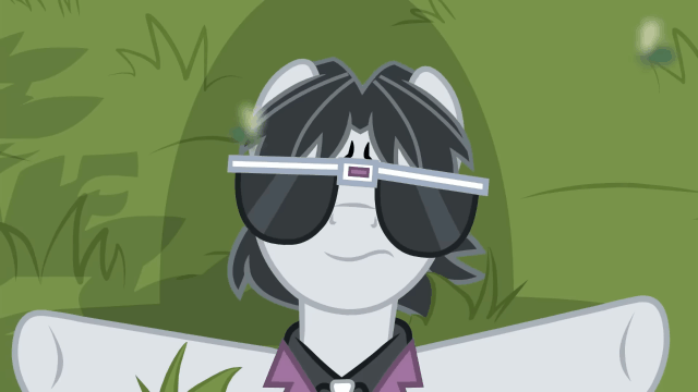 #3171587 - safe, screencap, withers, earth pony, fly, fly-der, hybrid ...