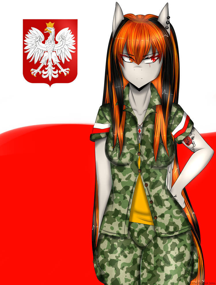 #3200014 - safe, artist:cannoncar, oc, oc only, oc:cannon car, pegasus ...