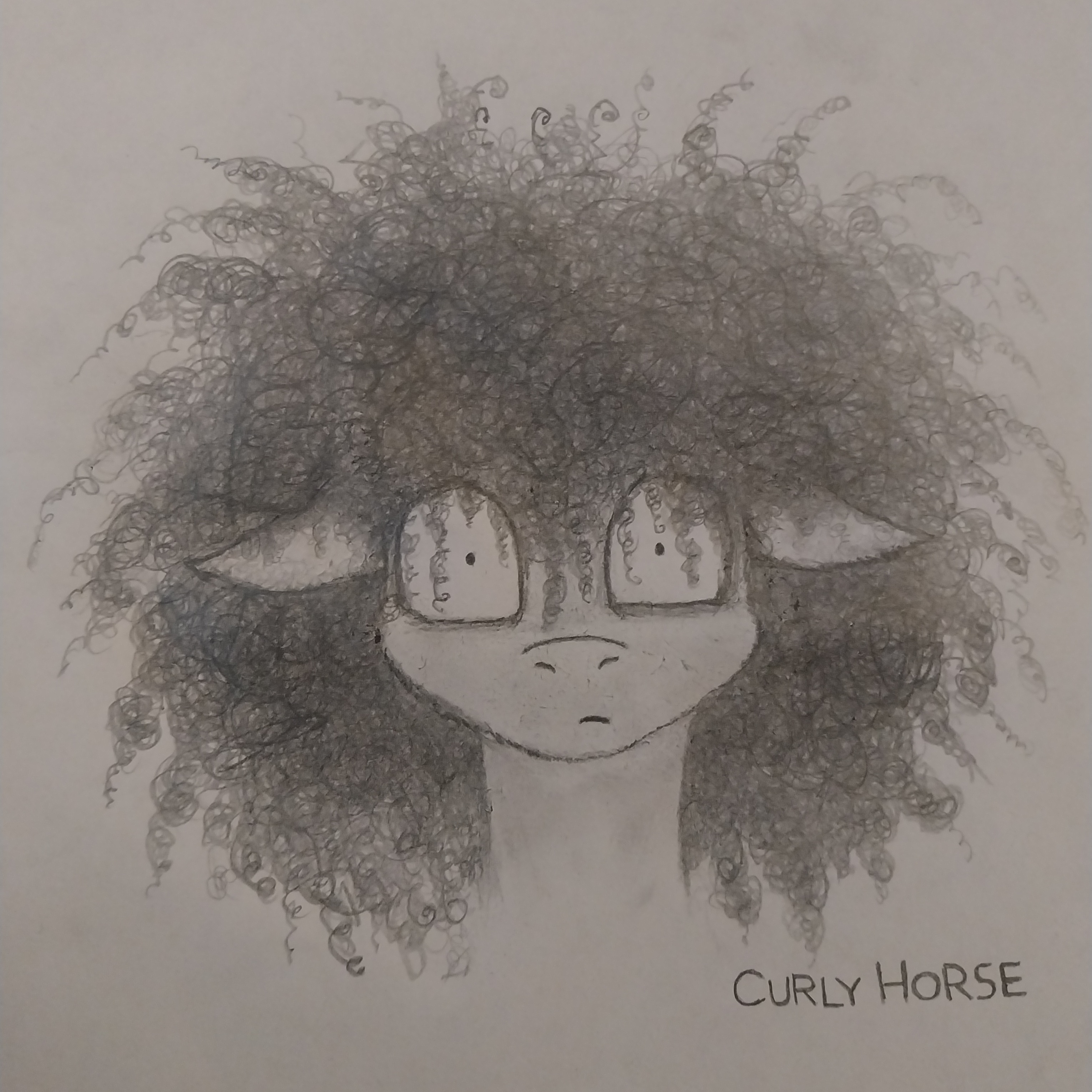 #3462761 - safe, artist:curly horse, oc, oc only, oc:curly, pegasus ...