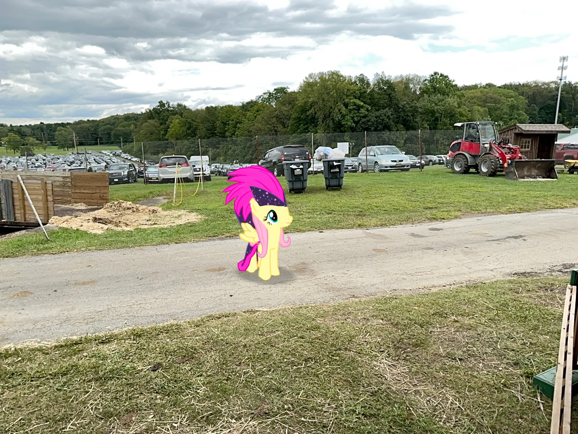 #3472691 - safe, fluttershy, pony, g4, dutchess county fair, irl, new ...