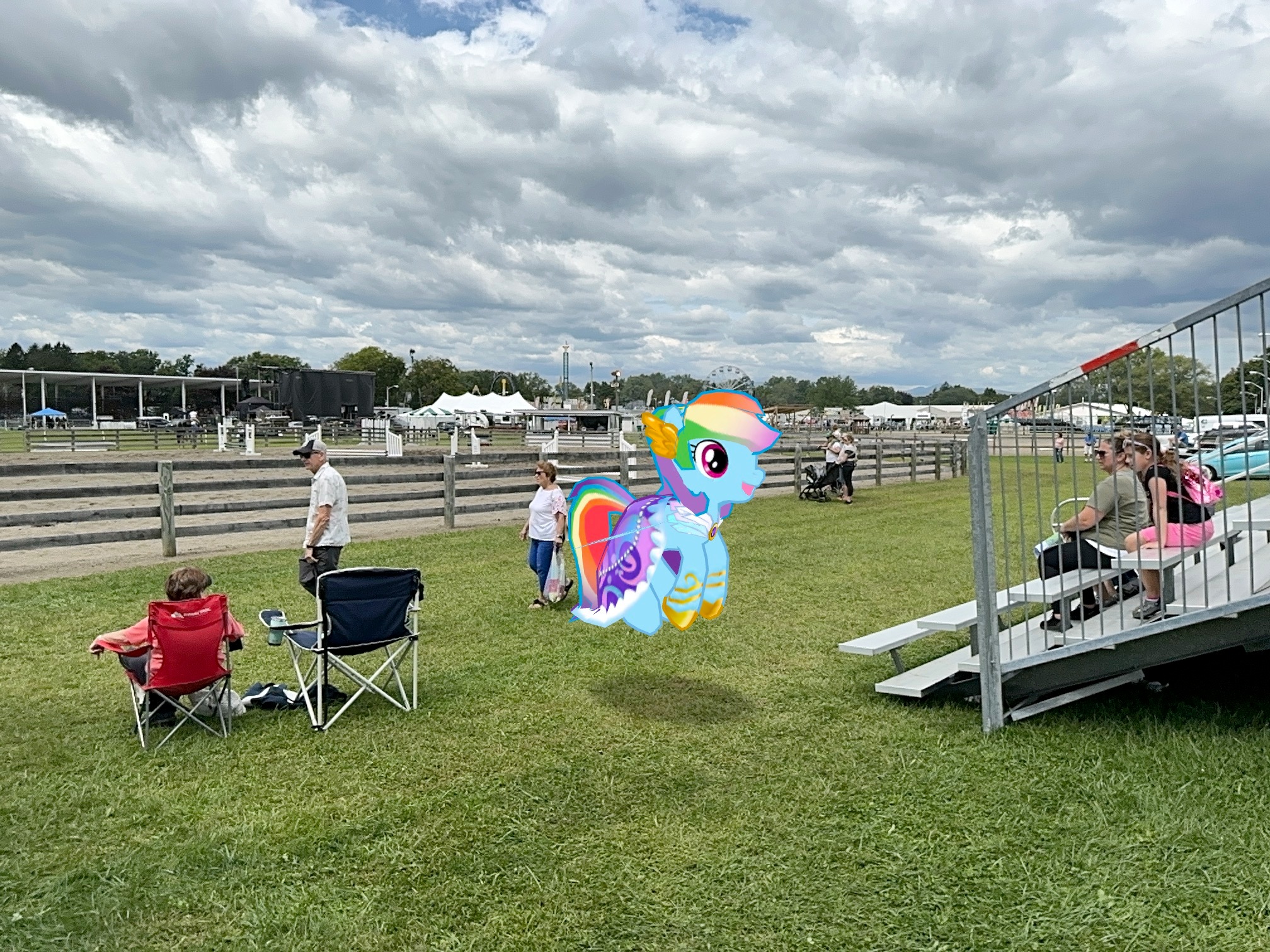 #3472704 - safe, rainbow dash, pony, g4, dutchess county fair, irl, new ...