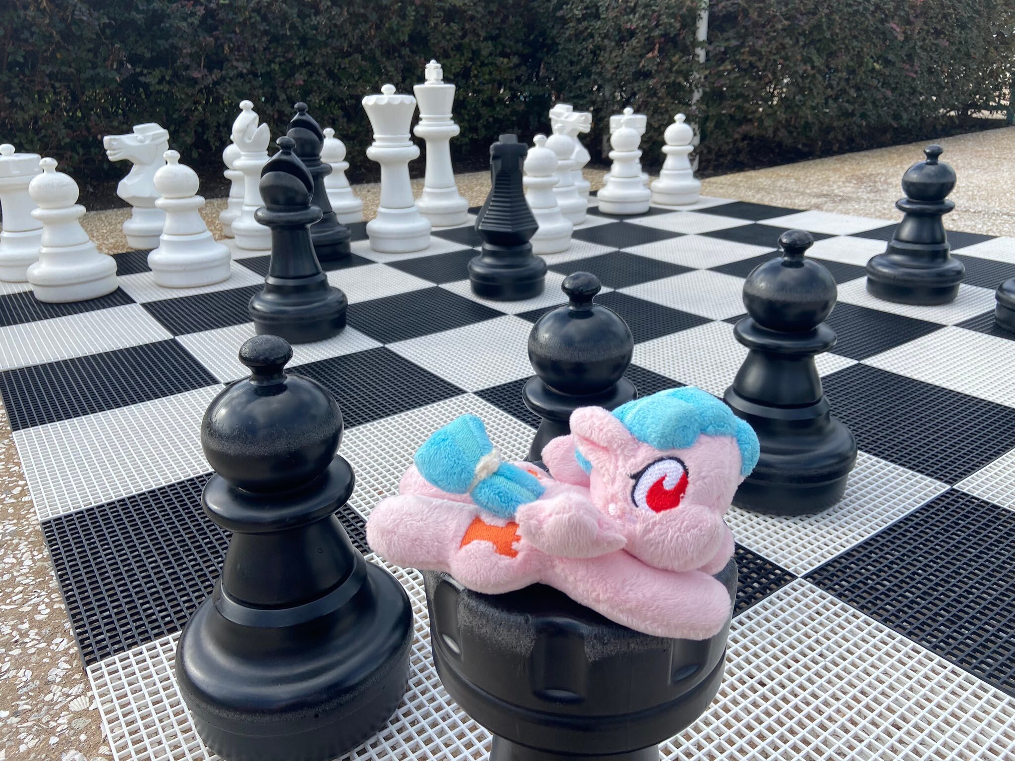 #3484884 - safe, cozy glow, pegasus, pony, g4, chess, irl, outdoors ...