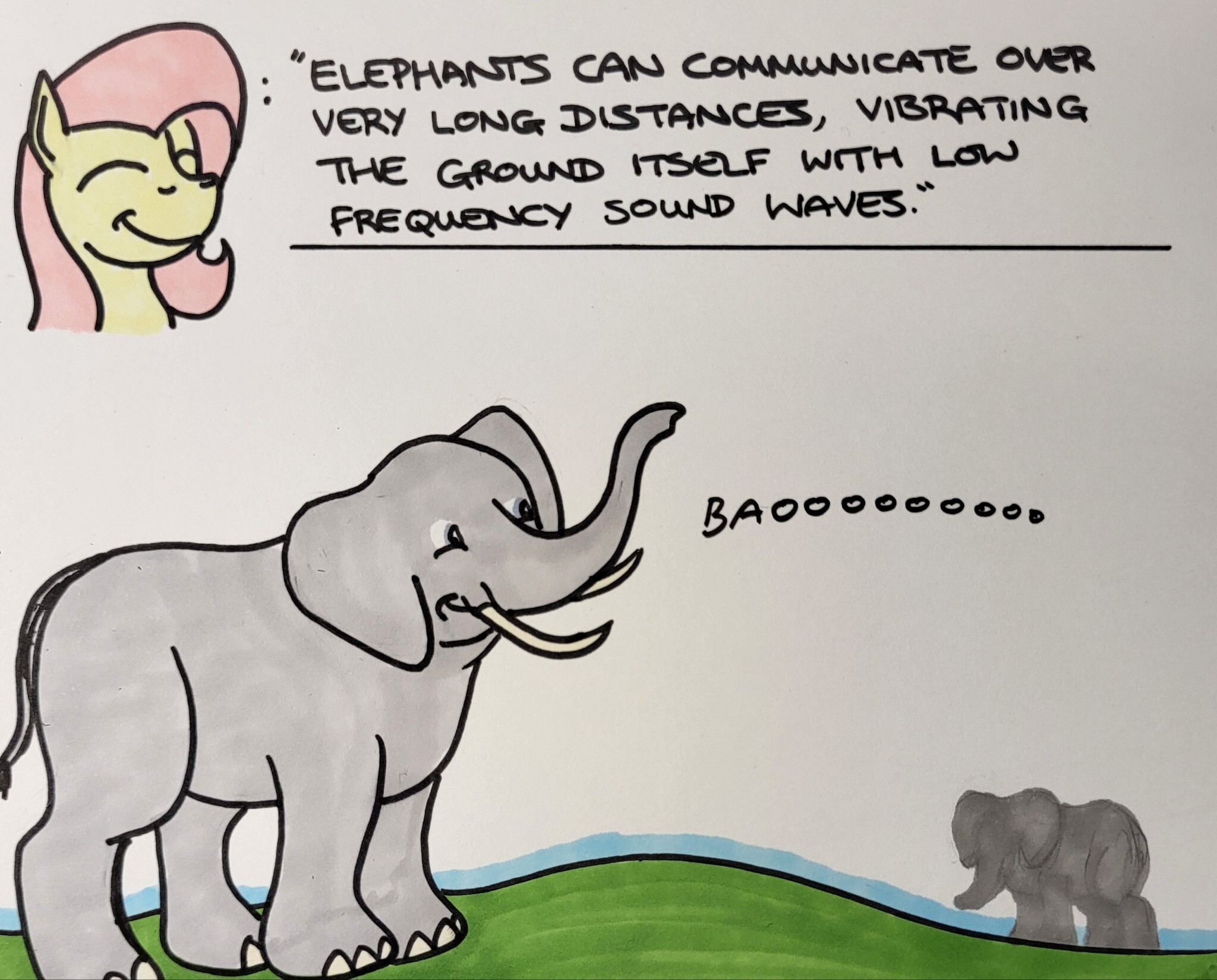 #3487741 - safe, artist:hoofclid, fluttershy, elephant, pegasus, pony, g4, female, mare, marker ...