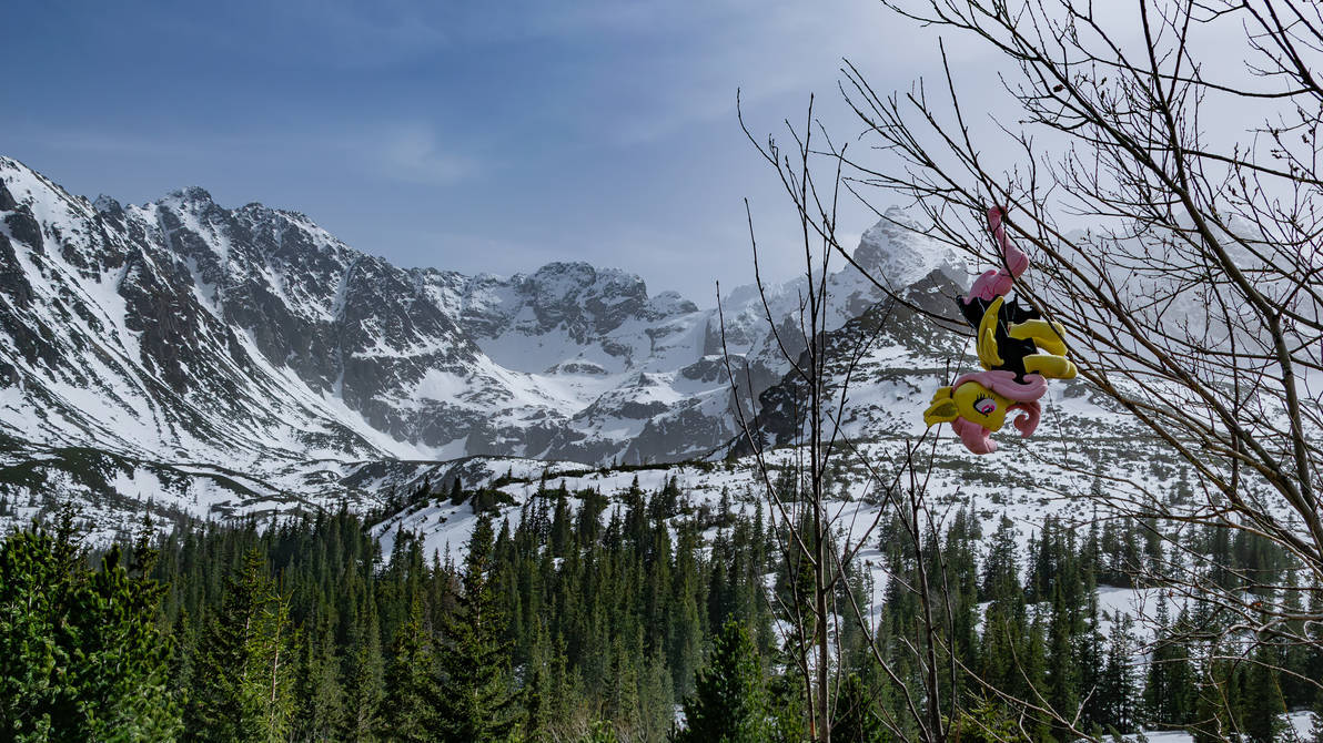 #3500901 - safe, artist:mgrdash, fluttershy, bat pony, g4, bat ponified ...