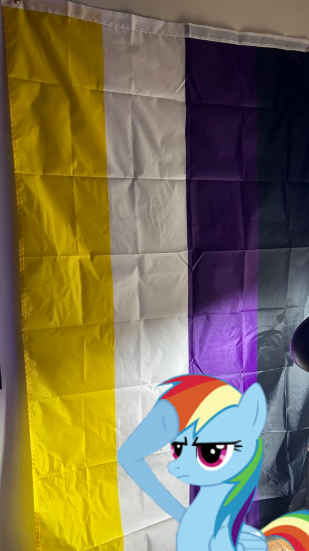 #3308301 - safe, rainbow dash, pegasus, pony, g4, female, flag, irl ...