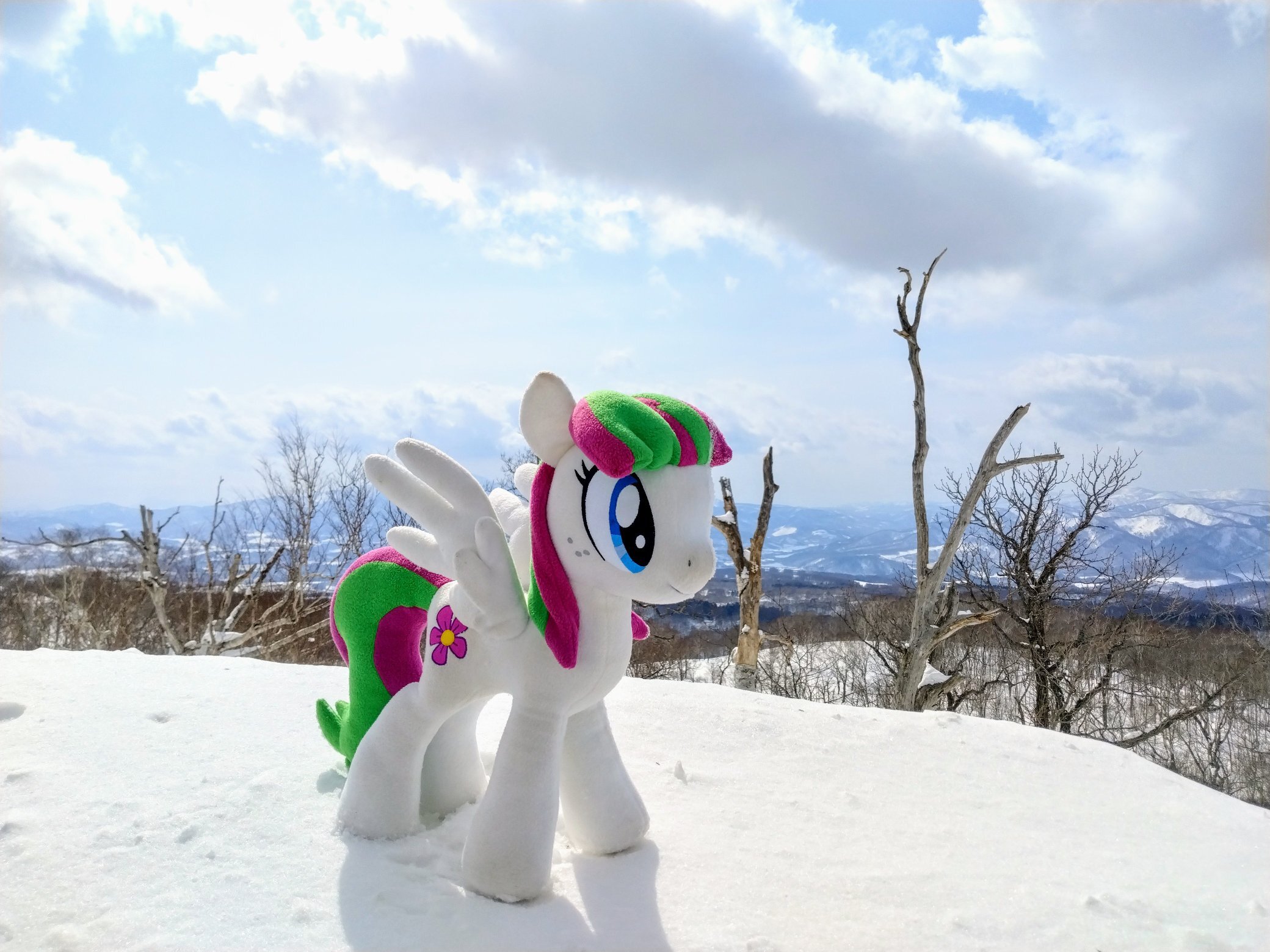 #3326333 - safe, photographer:pakapaka1993, blossomforth, pony, g4, irl ...