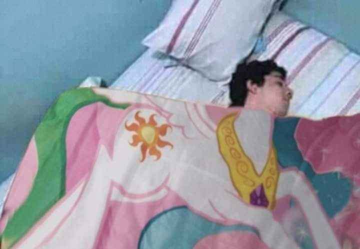 #3447737 - safe, princess celestia, alicorn, human, original species ...