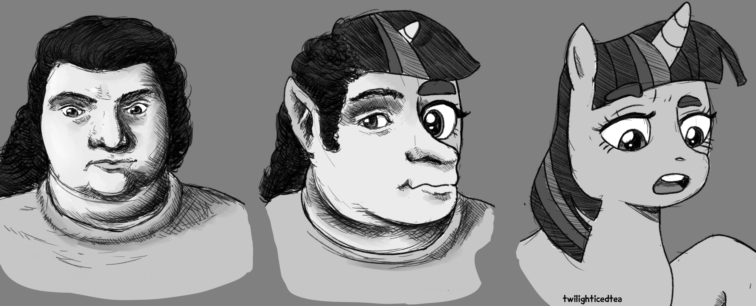 #3531675 - dead source, safe, artist:twilighticedtea, twilight sparkle, human, pony, unicorn, g4 ...