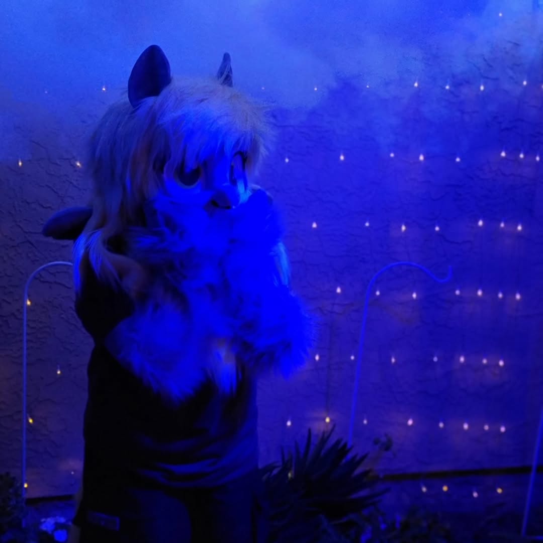 #3519407 - safe, derpy hooves, g4, bust, fursuit, irl, photo, ponysuit ...