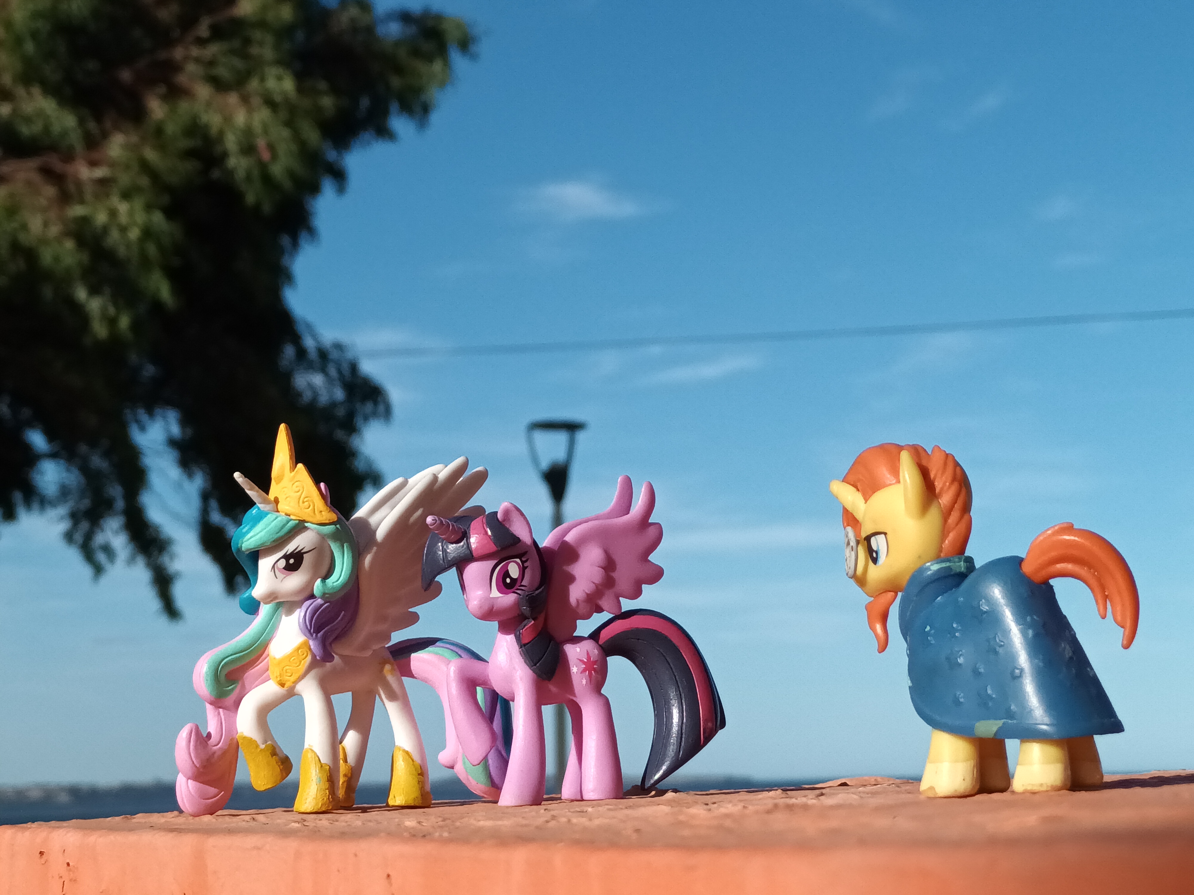 #3535535 - safe, artist:dingopatagonico, princess celestia, sunburst ...