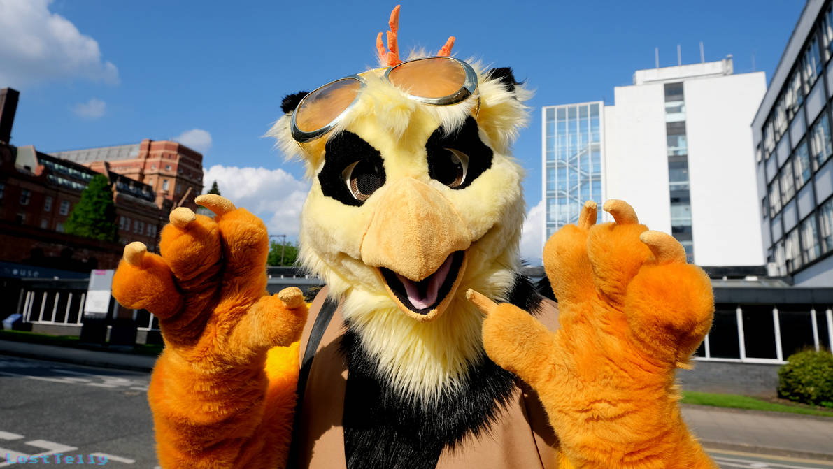 #3537231 - safe, oc, oc only, oc:electuroo, griffon, bust, fursuit, irl ...