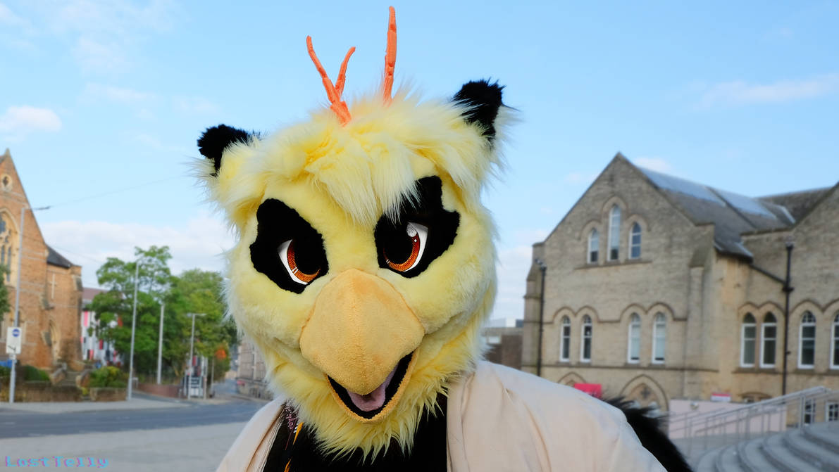 #3537232 - safe, oc, oc only, oc:electuroo, griffon, bust, fursuit, irl ...