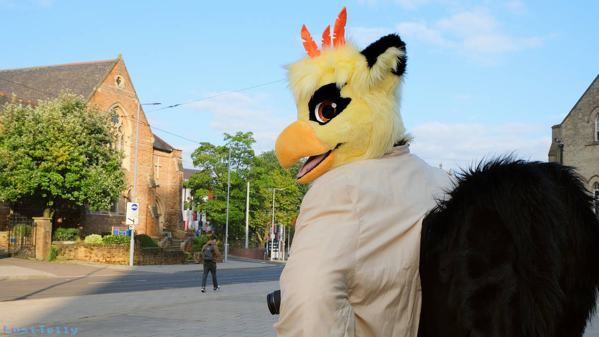 #3537233 - safe, oc, oc only, oc:electuroo, griffon, bust, fursuit, irl ...