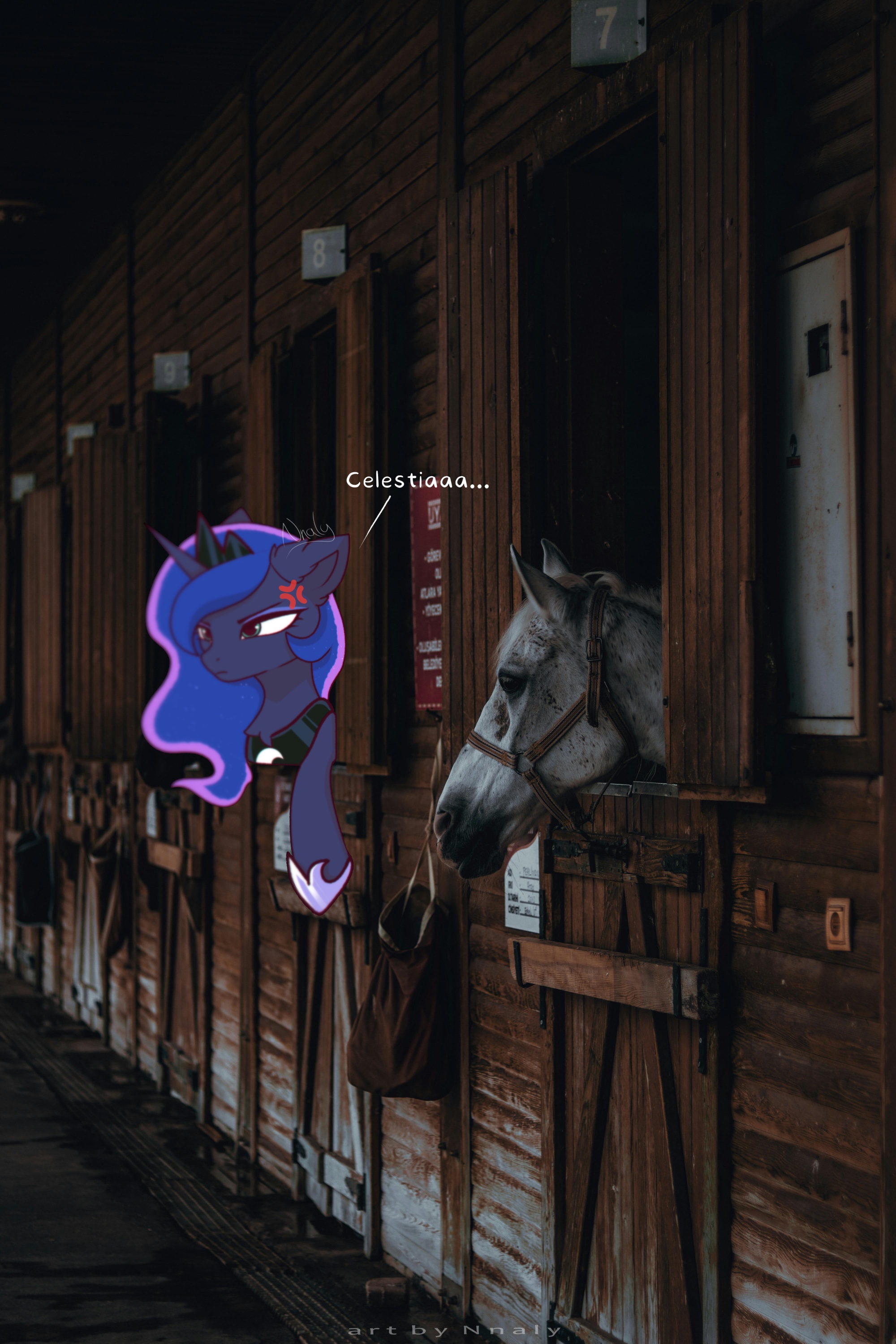 #3711772 - safe, artist:nnaly, princess luna, alicorn, horse, pony, g4 ...