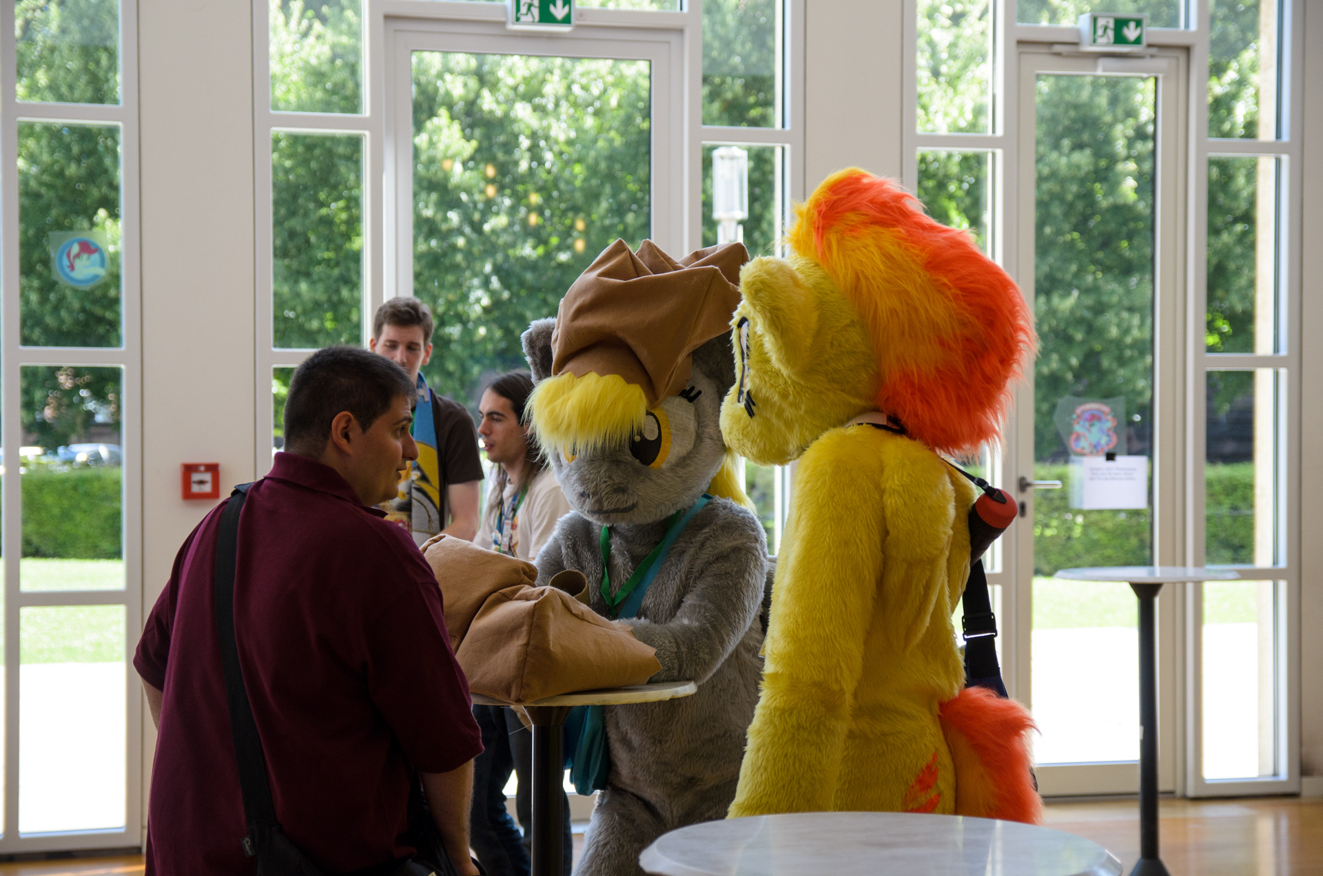 #3546006 - safe, derpy hooves, spitfire, human, galacon, g4, 2016, bag ...