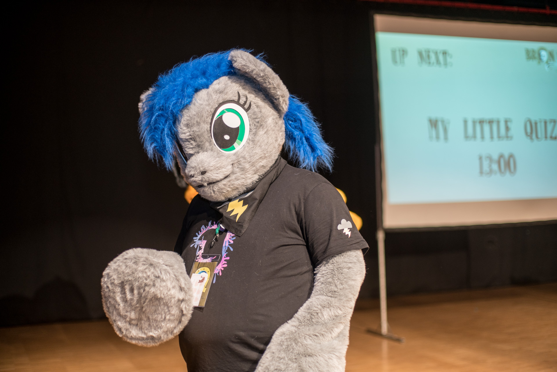 #3541700 - oc name needed, safe, oc, oc only, 2016, brony fair, fursuit ...