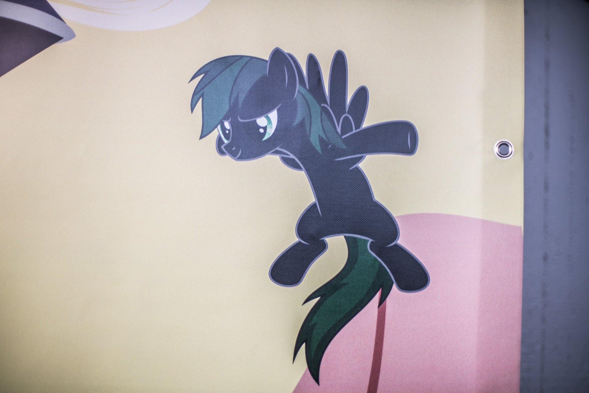 #3543095 - safe, rainbow dash, pegasus, pony, g4, 2016, brony fair ...