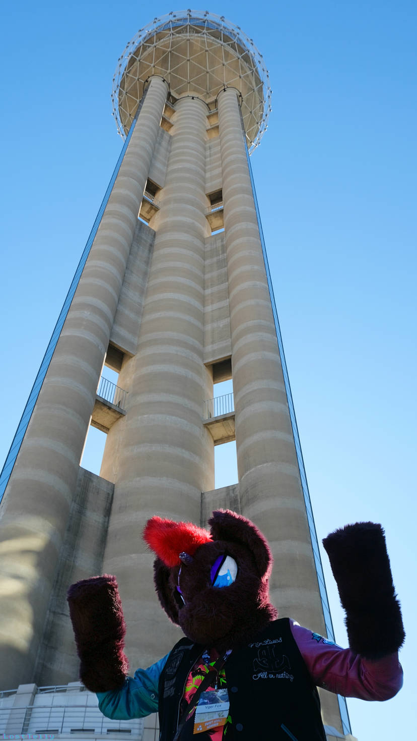 #3566828 - safe, photographer:losttelly, tempest shadow, g4, fursuit ...