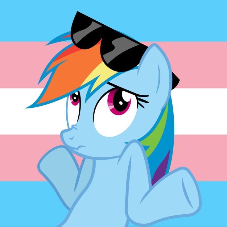 #3559618 - safe, rainbow dash, pegasus, pony, g4, female, mare, pride ...